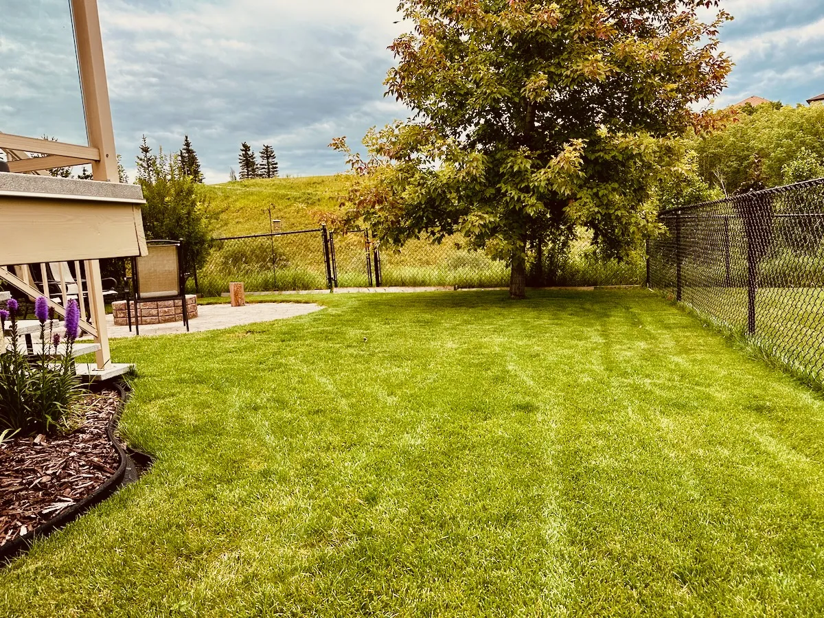 catching up in the yard - D'Arcy Norman, PhD